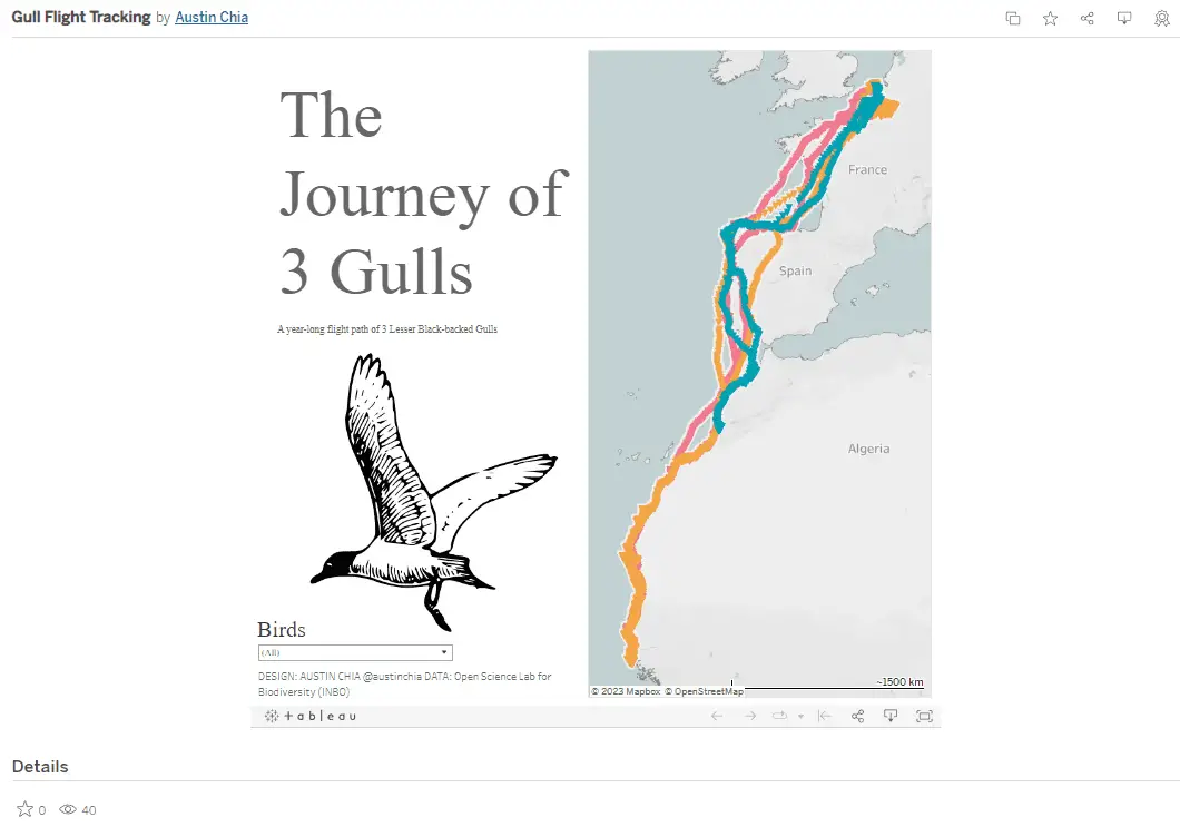11 Tableau Projects for Beginners & Experts (2023)