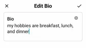 113+ Best Threads Bio Ideas (Funny & Aesthetic!)